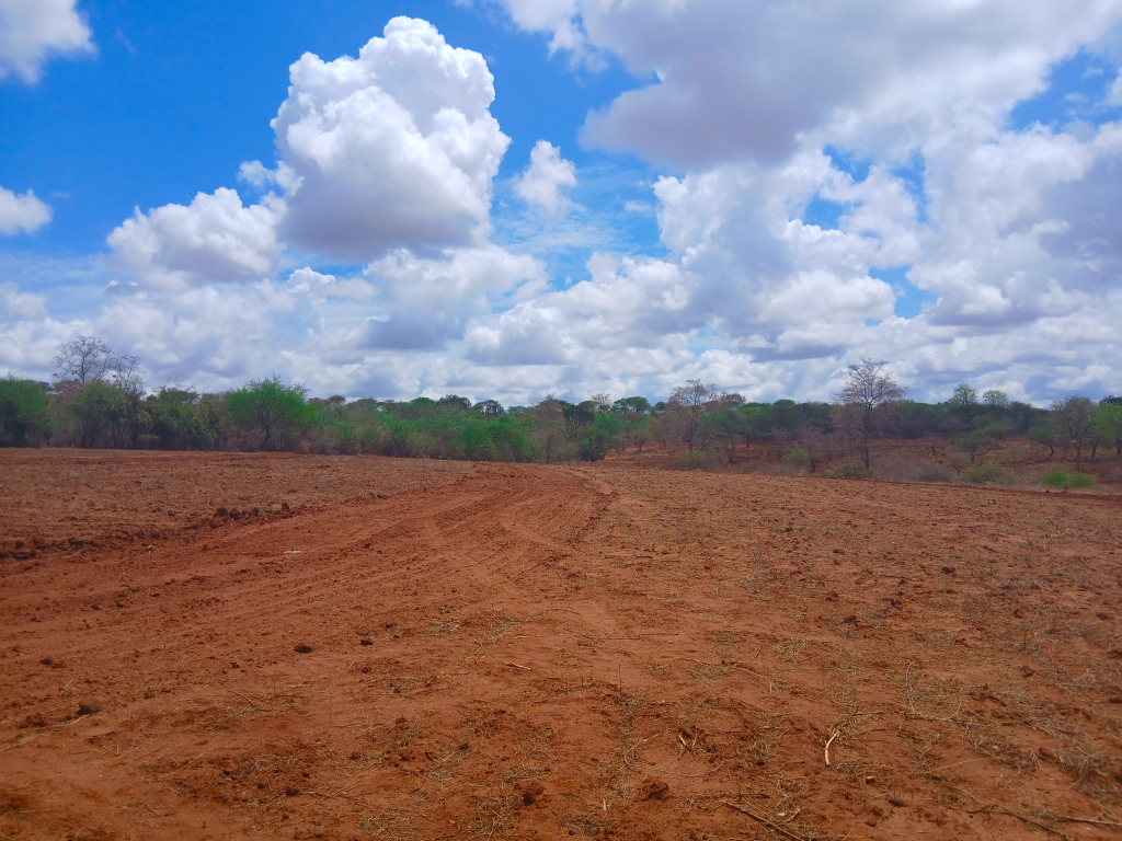 Land for Sale in Kithyoko Right Now - Prices, Hot Zones, and Why Buyers ...